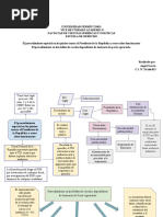 Diagrama de Flujo de Presentación Del Recurso de Amparo | PDF | Judicaturas | Ley Pública