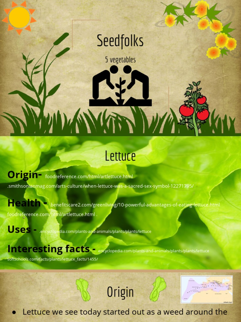 Rebecca Hernandez - Seedfolks Presentation | PDF | Tomato | Lettuce
