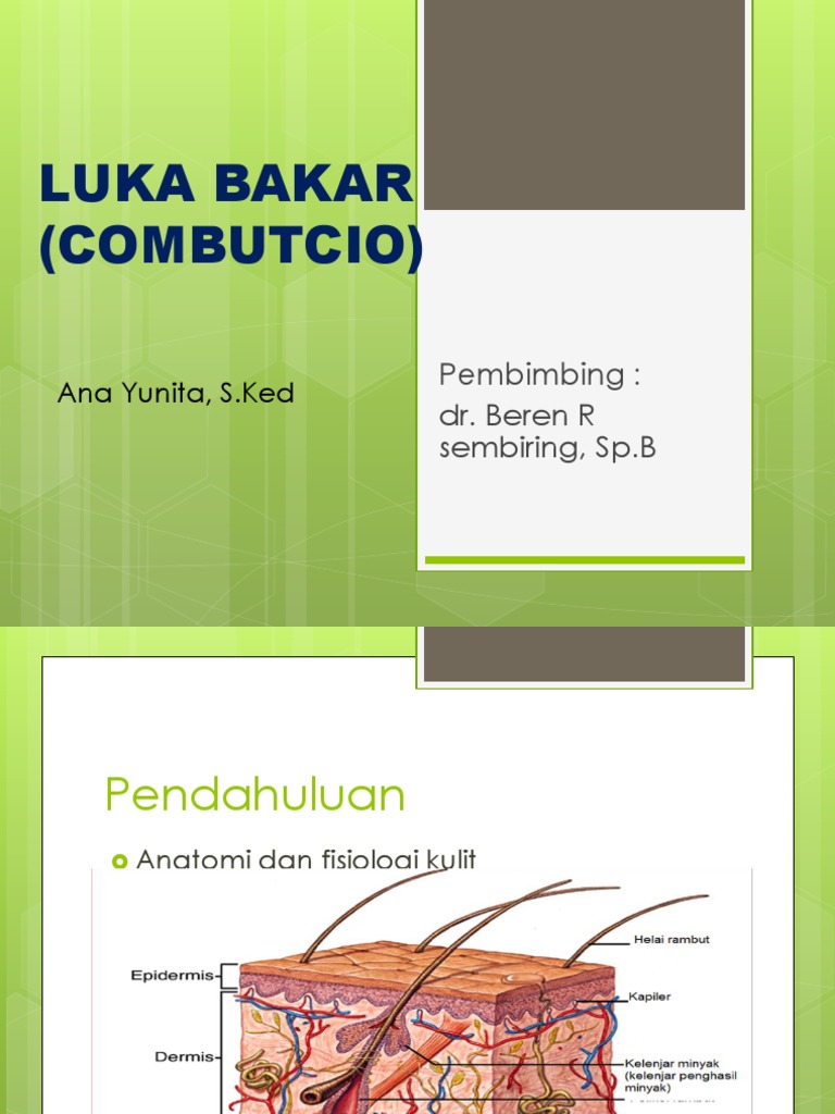 Luka Bakar | PDF