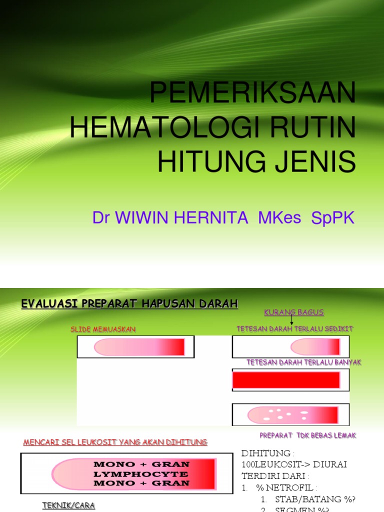 PEMERIKSAAN HEMATOLOGI RUTIN | PDF | White Blood Cell | Anatomy