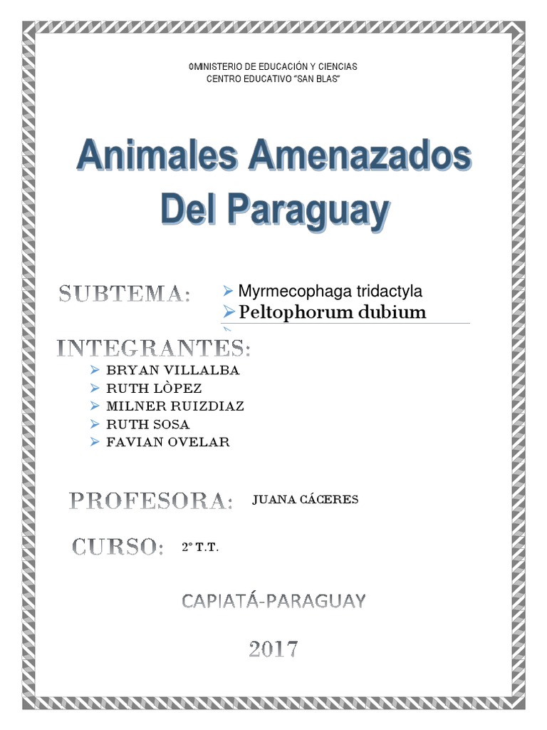 Oso y Yvyra Pyta | PDF | Conservación | Naturaleza