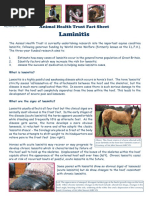 Pony Club C Test Guidelines | PDF | Horse Gait | Horses