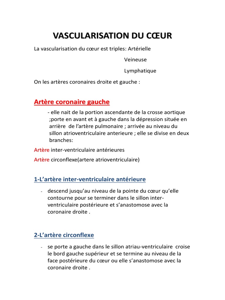 Vascularisation Du Cœur | PDF | Cœur | Système cardio-vasculaire