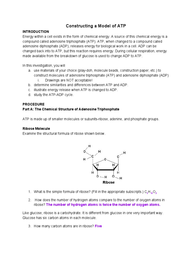 Constructing an ATP Model | PDF | Molecular Biophysics | Biology