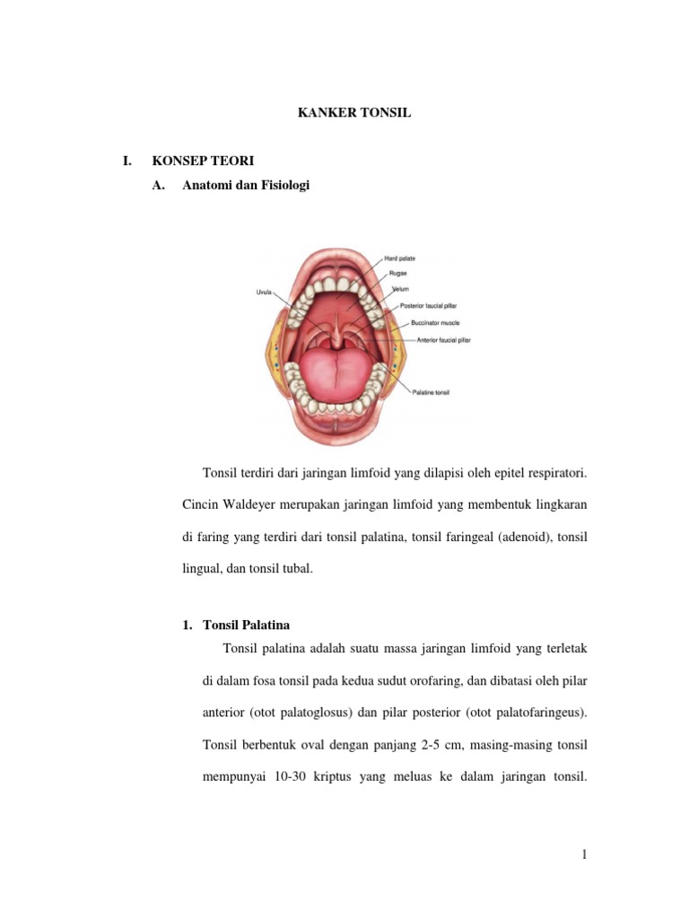 Ca Tonsil | PDF
