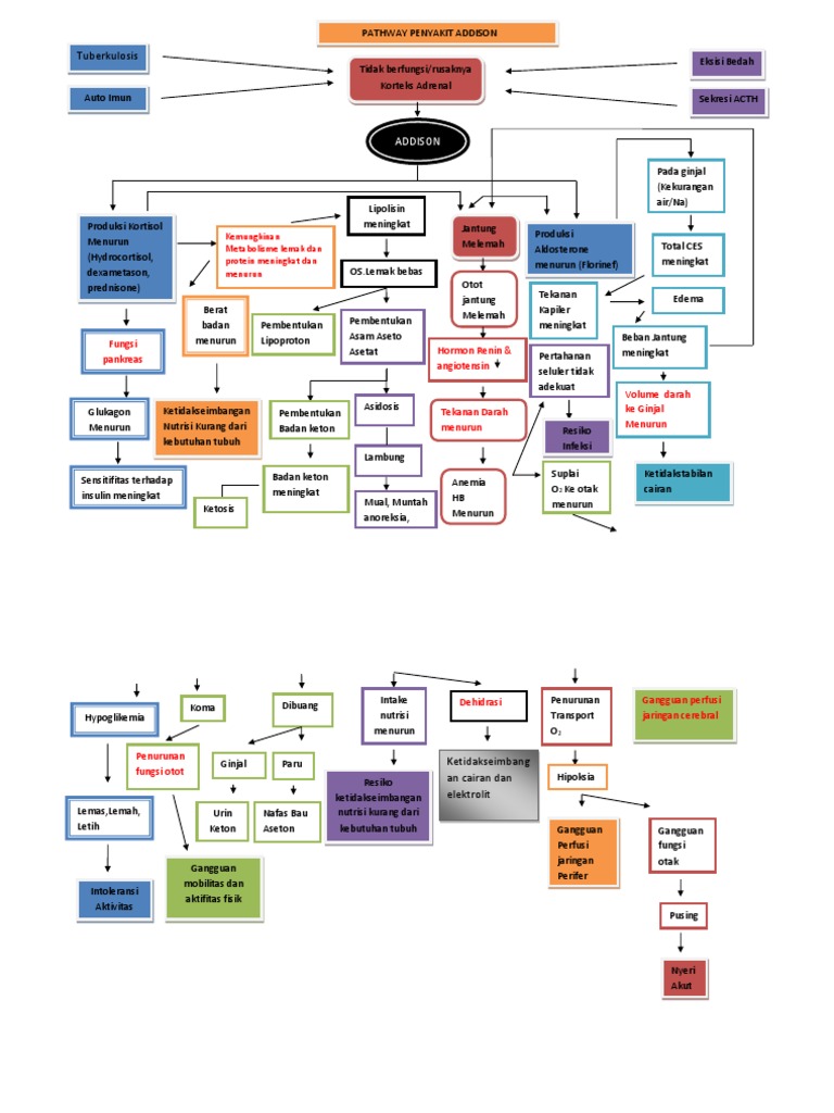 PATENT PENYAKIT ADDISON | PDF