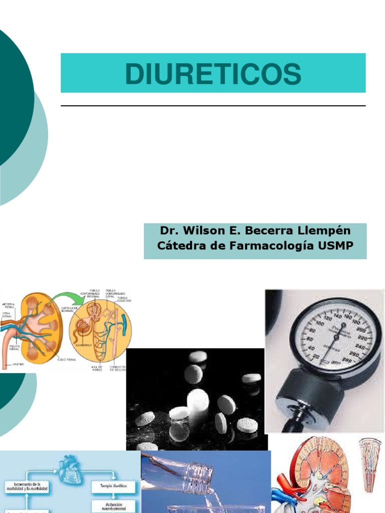 Diuréticos: Mecanismos y Clasificación | PDF | Drogas | Farmacología
