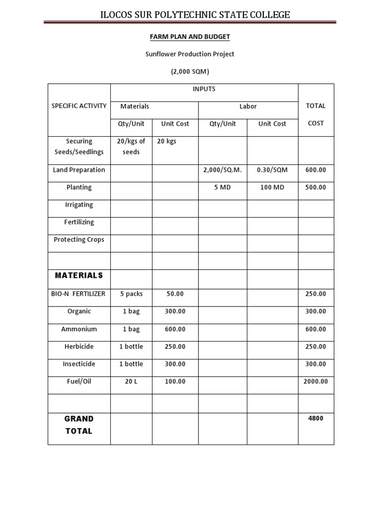 Farm Plan and Budget | PDF | Peanuts | Marketing Strategy