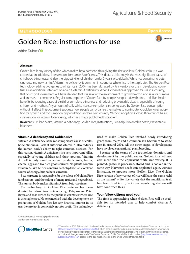 Golden Rice | PDF | Rice | Vitamin A