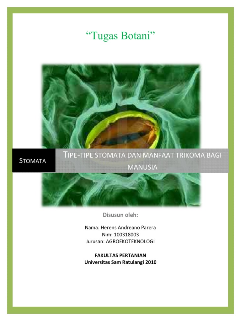 Tipe Tipe Stomata Dan Fungsi Trikoma Bagi Manusia | PDF