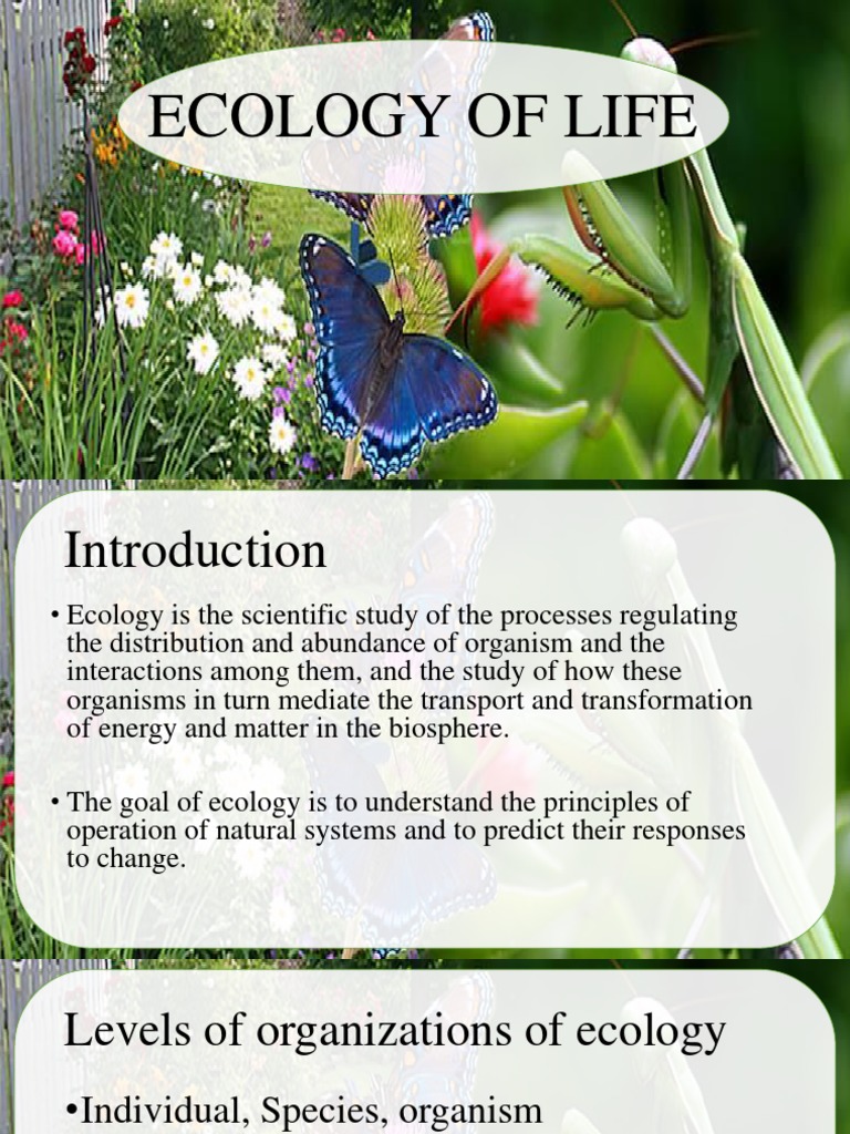 Ecology of Life | PDF | Grassland | Desert