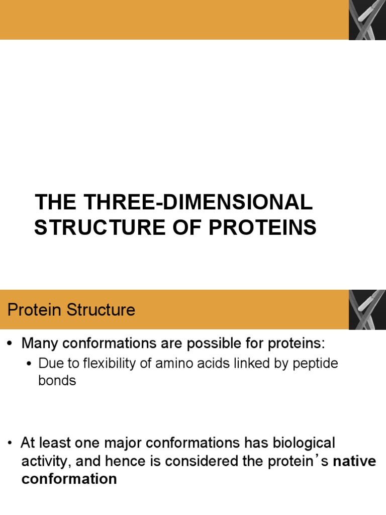 Protein Structure and Function | PDF | Protein Structure | Beta Sheet