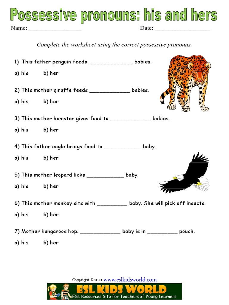 Possessive Pronouns His Hers Animals Worksheet PDF | PDF | Language ...