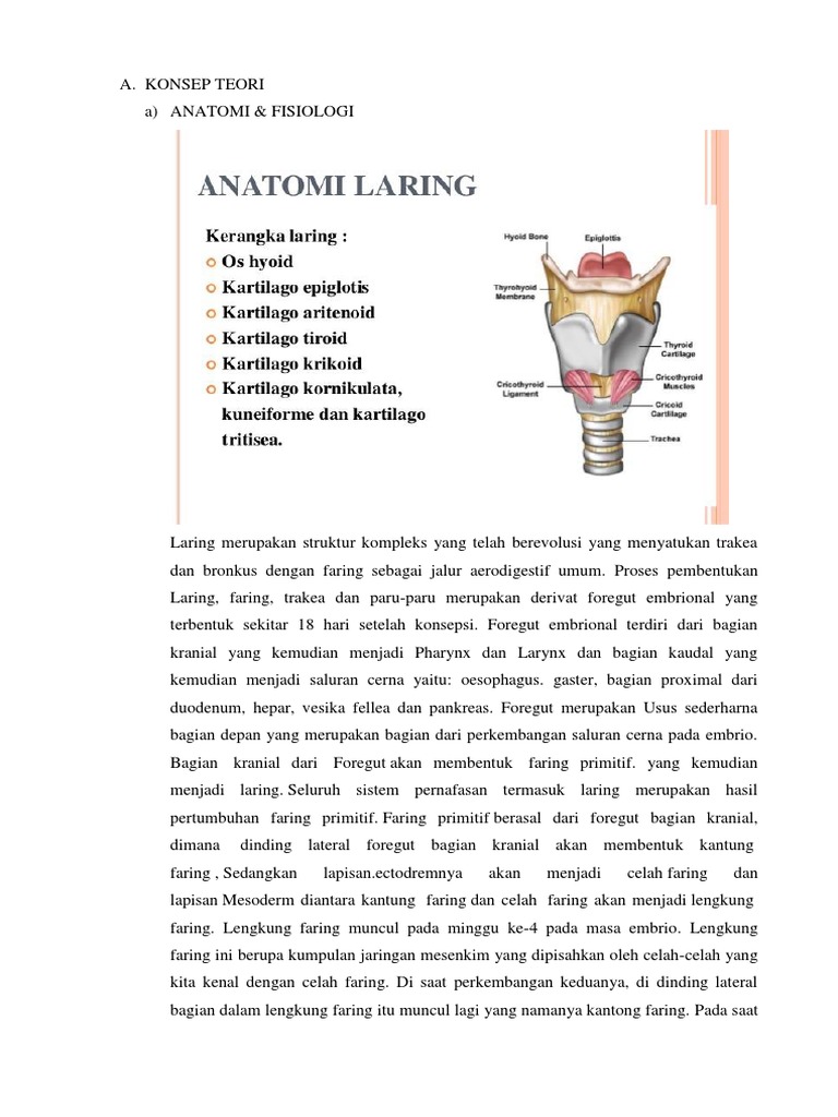 Laporan Pendahuluan CA Laring | PDF