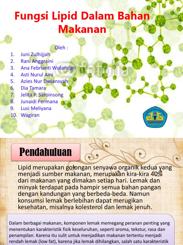 Fungsi Lipid Dalam Bahan Makanan | PDF