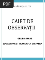 Fisa de Progres Individual Prescolari | PDF