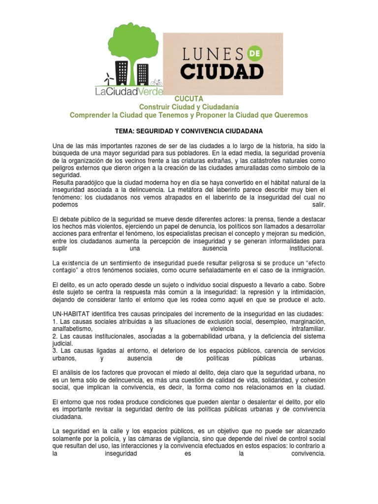 Seguridad Y Convivencia Ciudadana Pdf Calle Delito