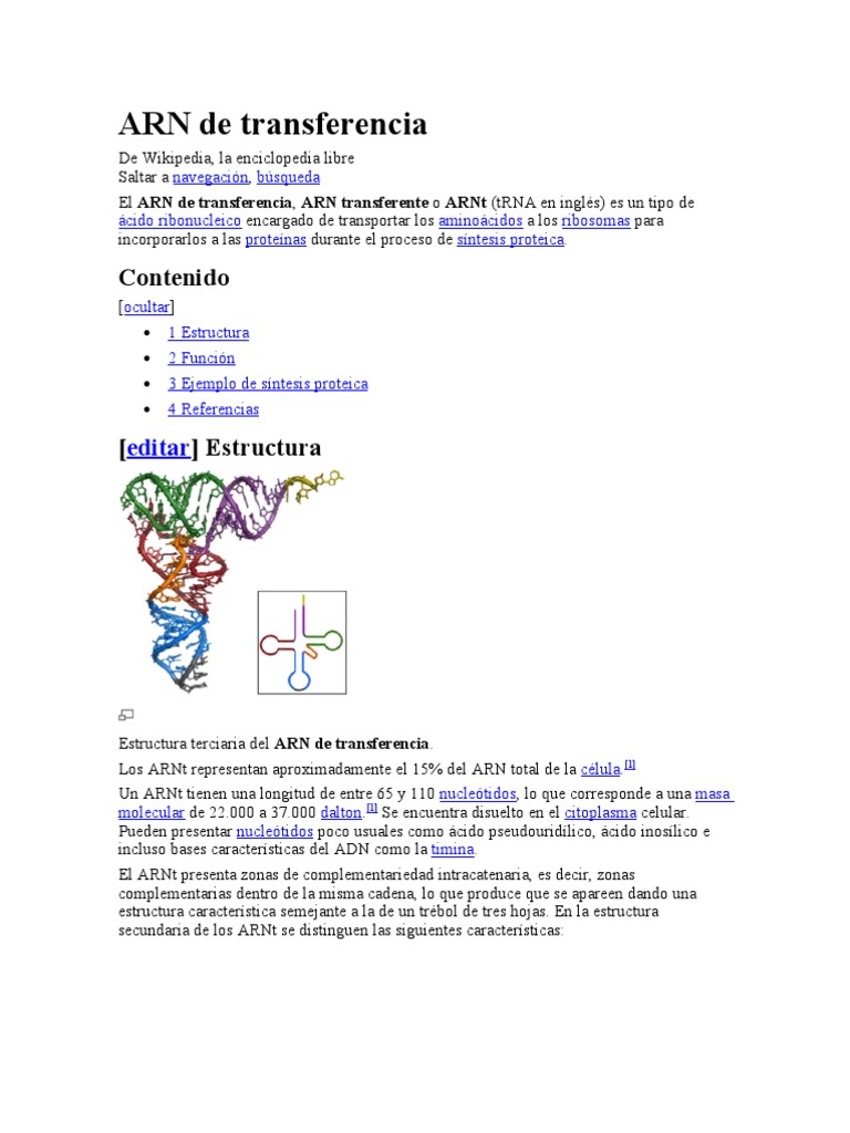 ARN de transferencia | Ácidos orgánicos | Biología Molecular
