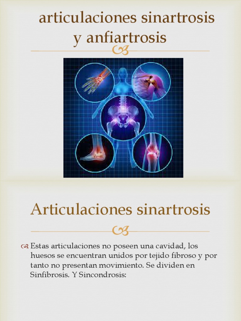 Articualcion Sinartrosis y Anfiartrosis | PDF | Articulación | Cartílago