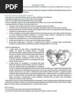 Tipos de Pelve e Suas Características | PDF
