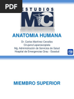 Musculos de La Nuca | PDF | Anatomía humana | Sistema musculoesquelético