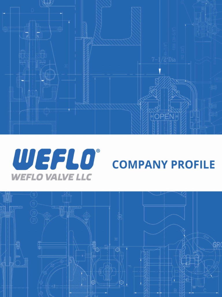 Weflo Valve LLC Company Profile | PDF