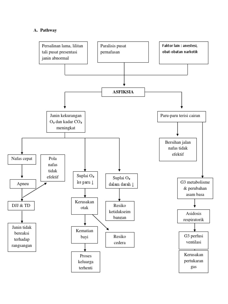 Pathway Asfiksia | PDF