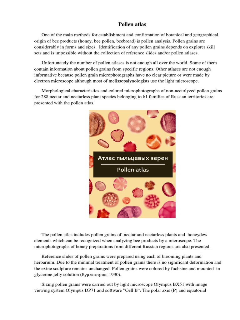 Pollen Atlas | PDF | Pollen | Bees