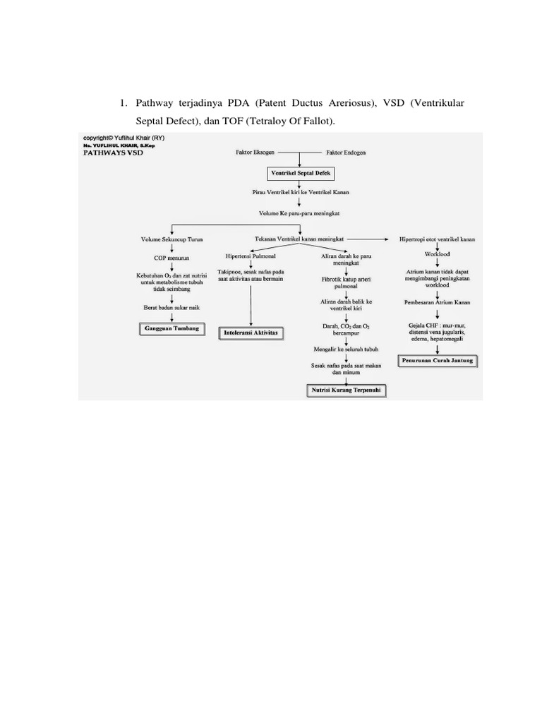 Pathway Terjadinya PDA | PDF