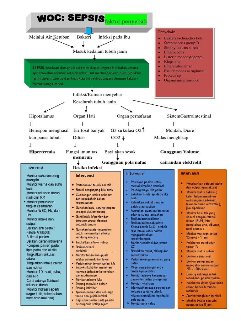 Pathway dan Intervensi Sepsis Neonatorum | PDF