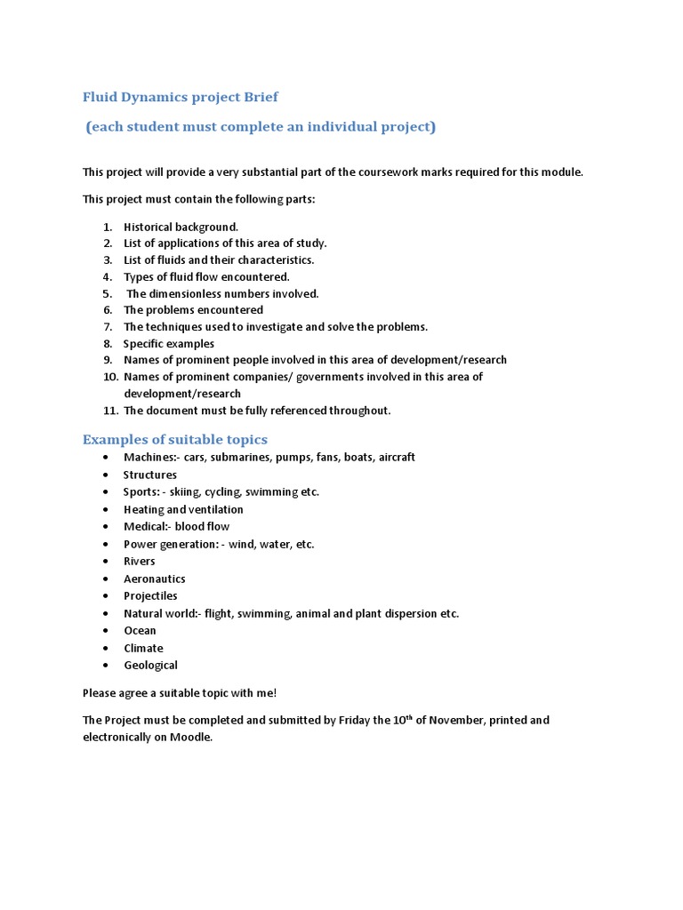 Fluid Dynamics Project Brief | PDF