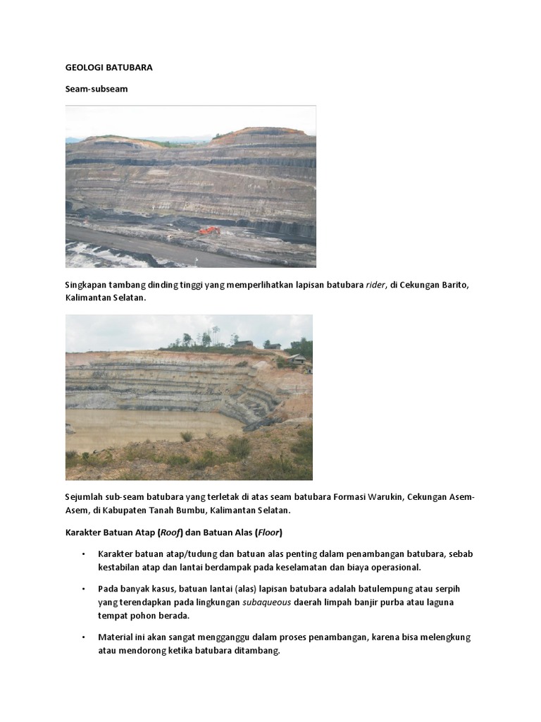 Geologi Batubara Subseam Intrusi | PDF