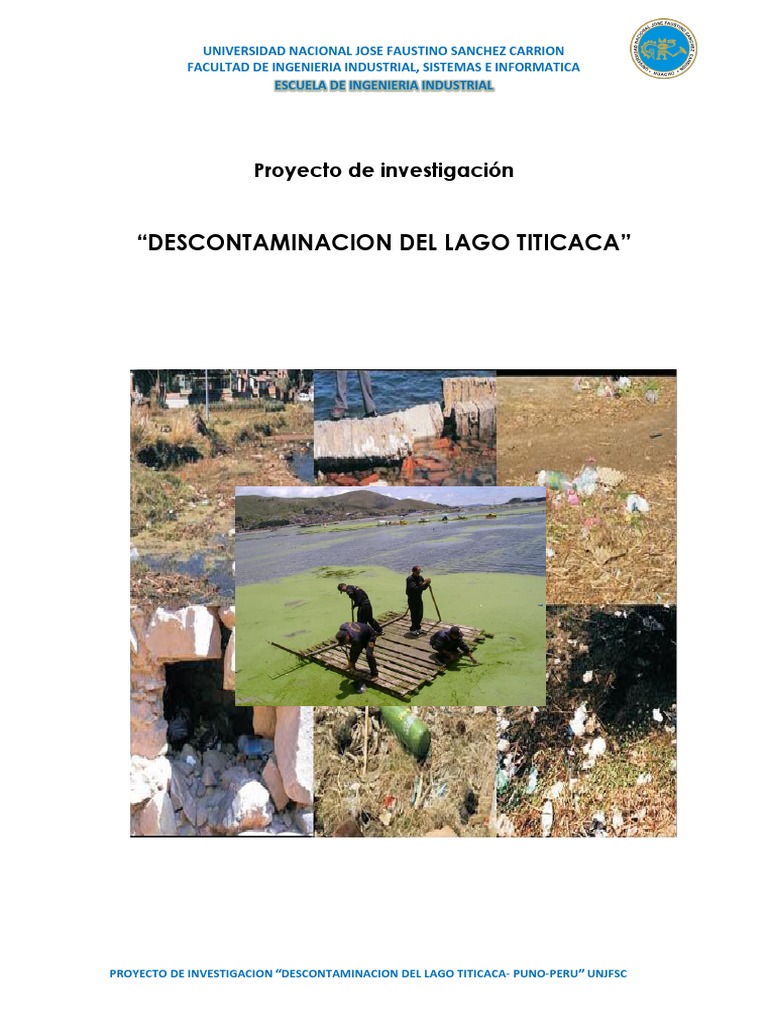 Proyecto de investigación para la descontaminación del Lago Titicaca en ...