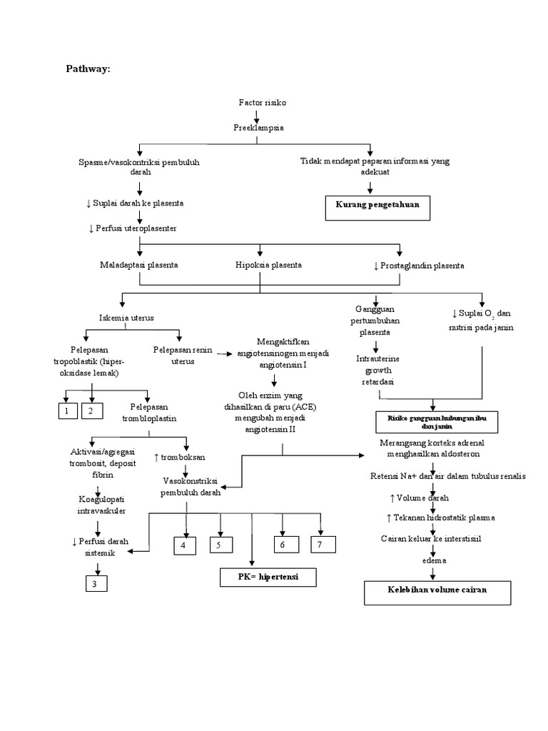 Pathway Preeklampsia Fix | PDF
