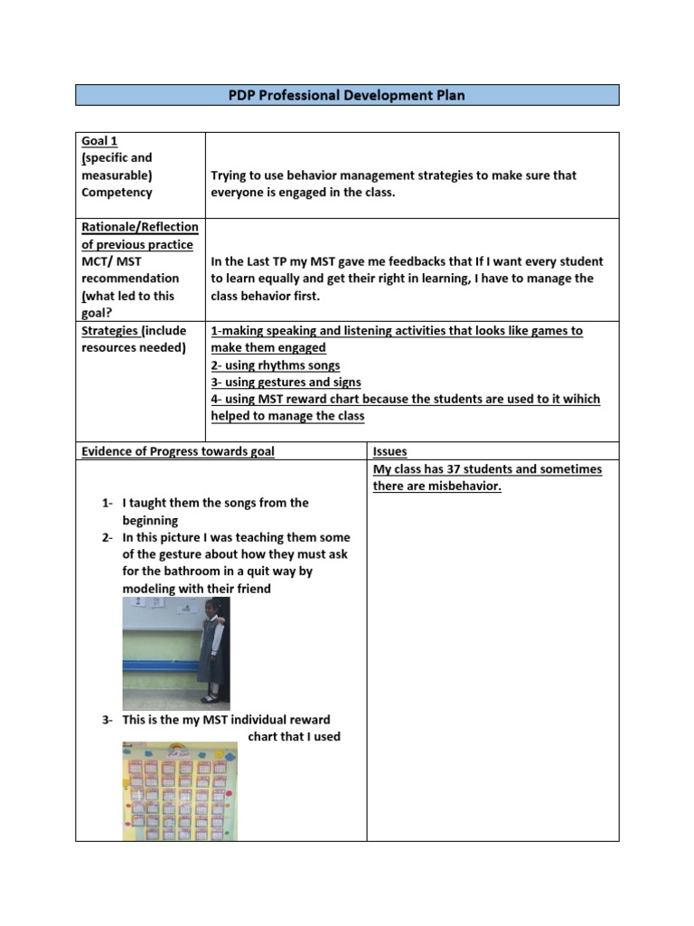 PDP Professional Development Plan 1 | PDF