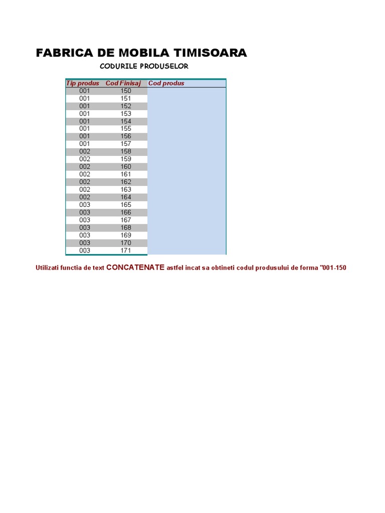 Test Excel - Functii de Text | PDF