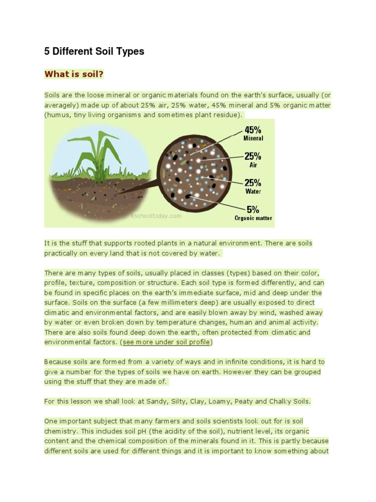 5 Different Soil Types | PDF | Organic Matter | Ecosystem