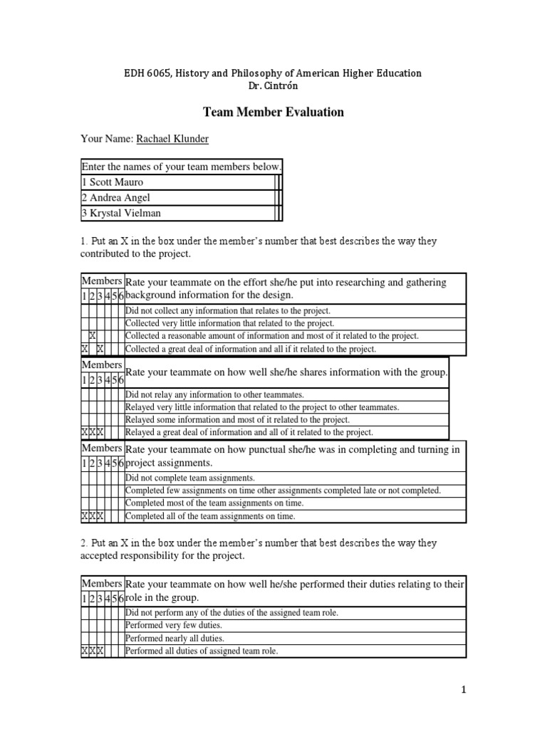 Team Evaluation - History | PDF | Psychological Concepts | Cognition