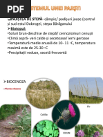 Circuitul Apei in Natura | PDF