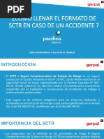 Mapfre Formato 1 SCTR | PDF