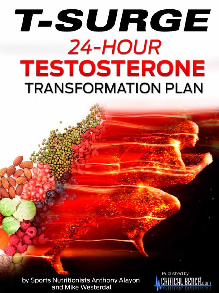 24 Hour Testosterone Transformation Fix PDF | PDF | Hormone Replacement ...