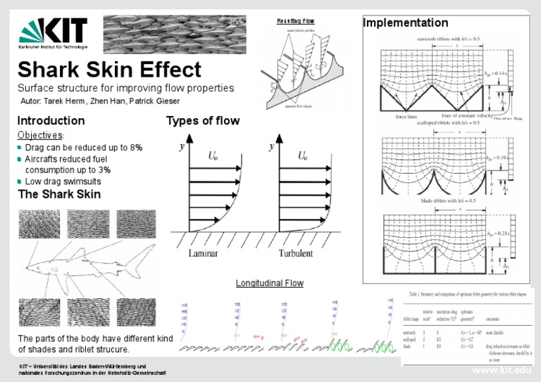 Shark Skin Effect: Surface Structure For Improving Flow Properties | PDF