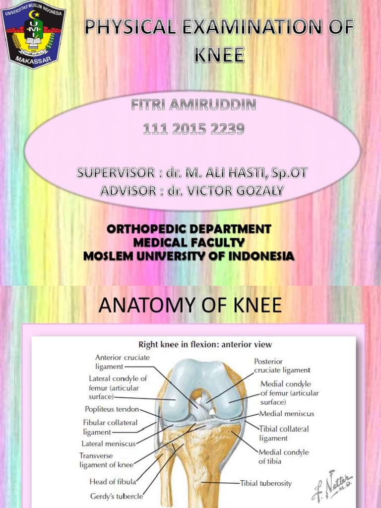 Physical Examination of Knee | PDF