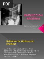 Obstrucción y Estasis Urinaria | PDF | Vejiga urinaria | Urología