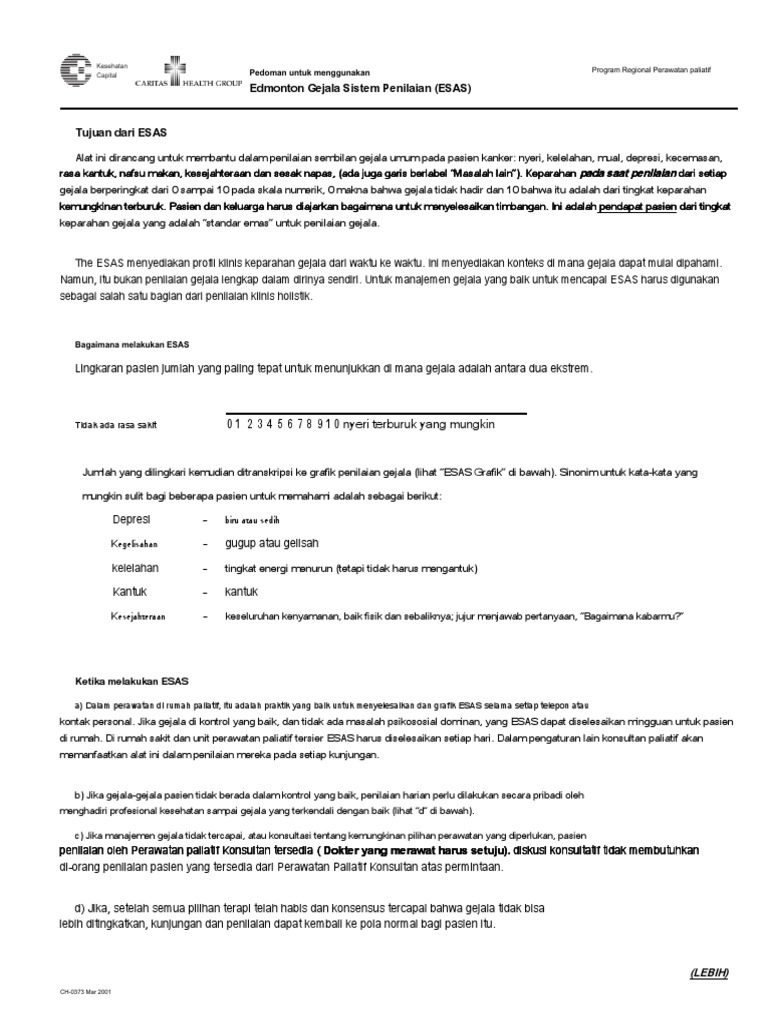 Pedoman Penggunaan Skala ESAS | PDF