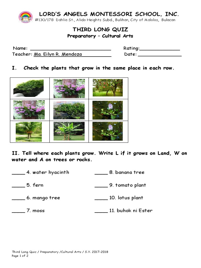 Third Long Quiz: Cultural Arts Prep | PDF