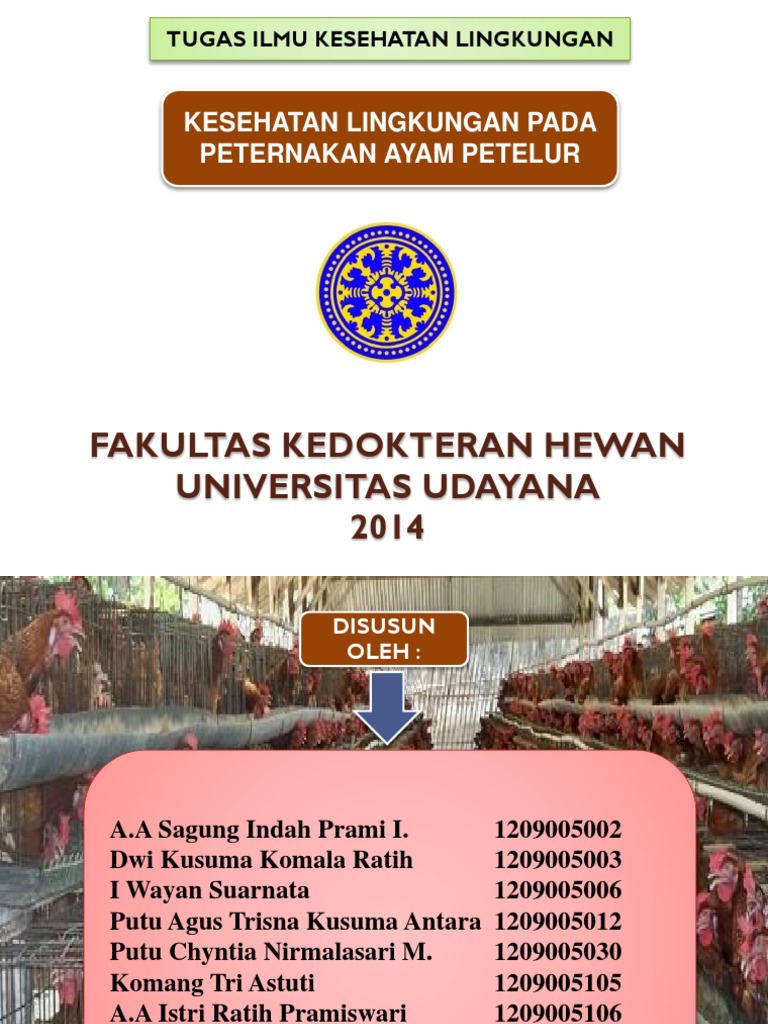 Peternakan Ayam Petelur | PDF