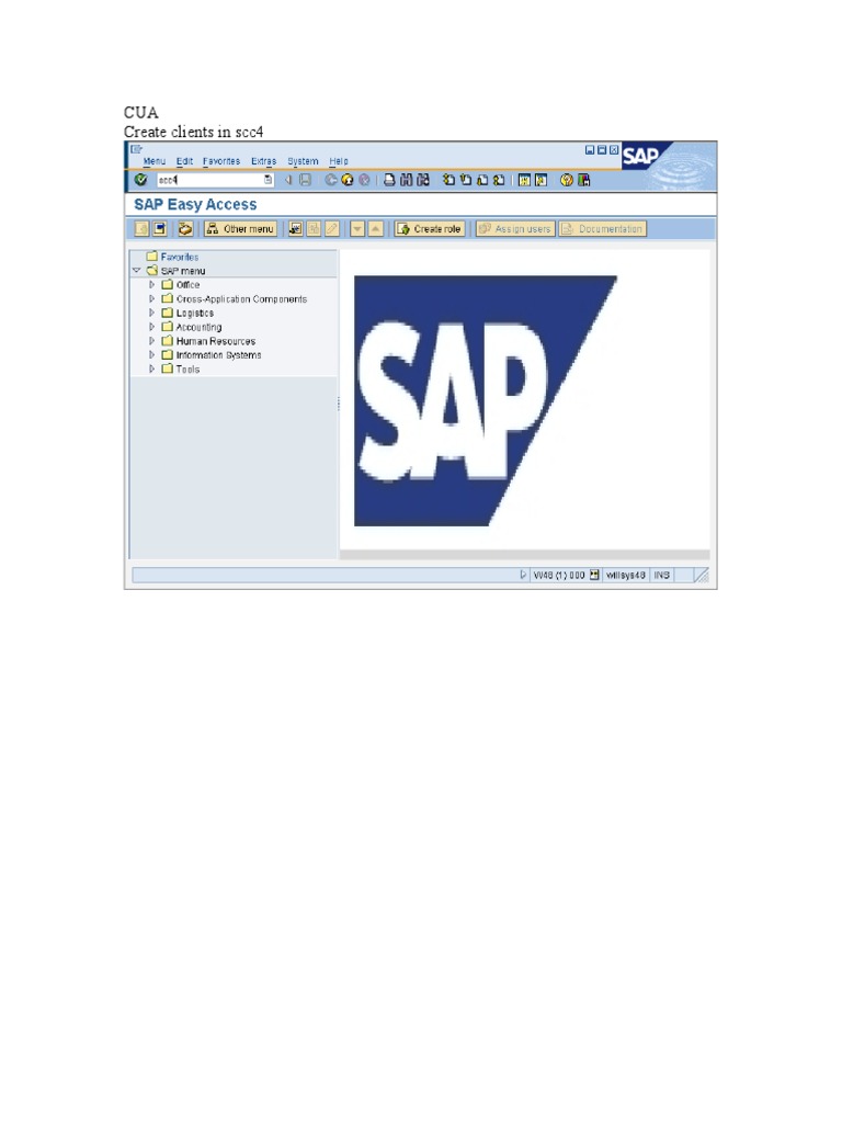 CUA Create Clients in scc4 | PDF | Business | Technology & Engineering