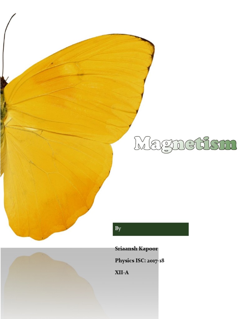 Physics Project On Magnetism | PDF | Magnetism | Ferromagnetism