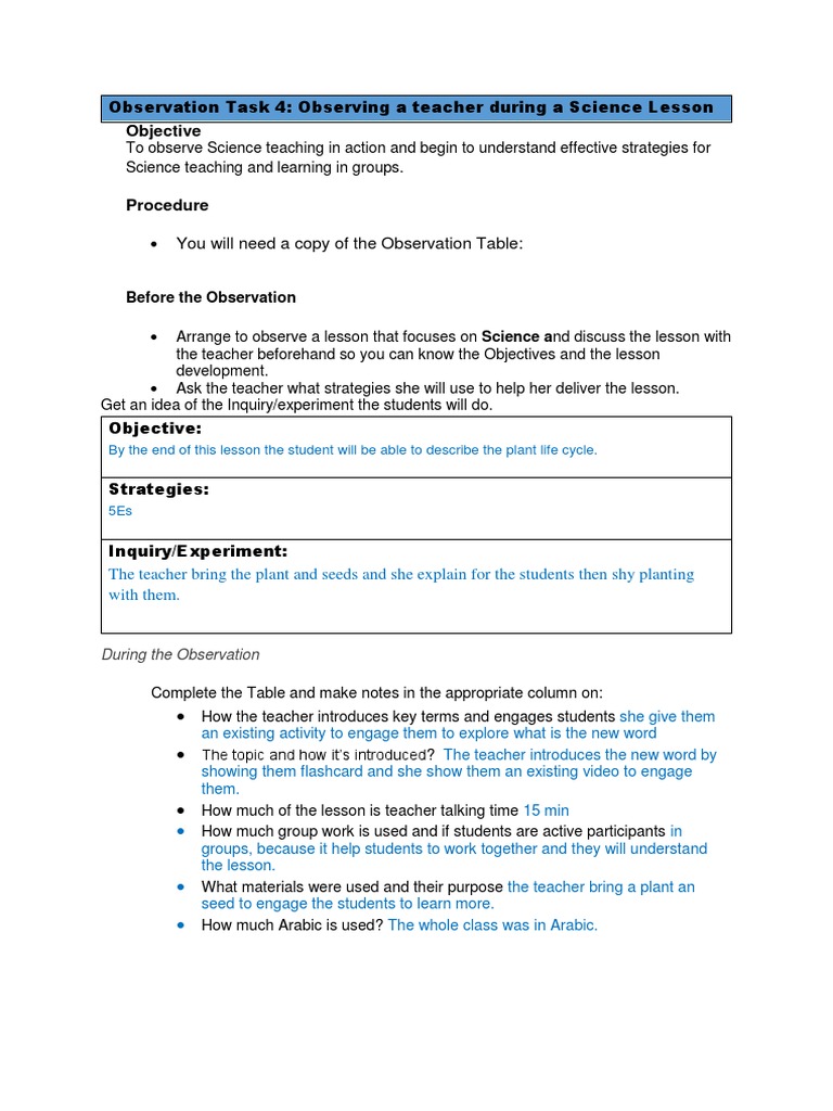 Observation Task 4: Observing A Teacher During A Science Lesson ...